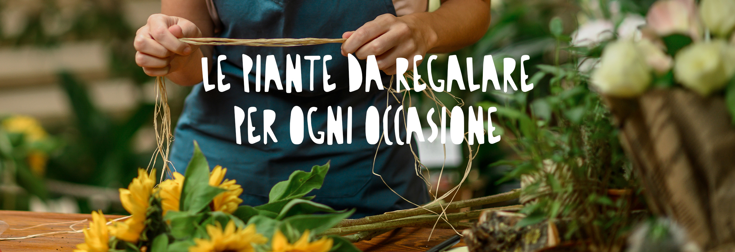 Le Piante da Regalare: Il Dono Perfetto per Ogni Occasione - Flobflower